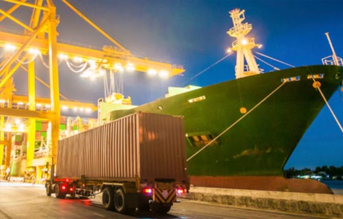 About – BRAVE EVOLUTION